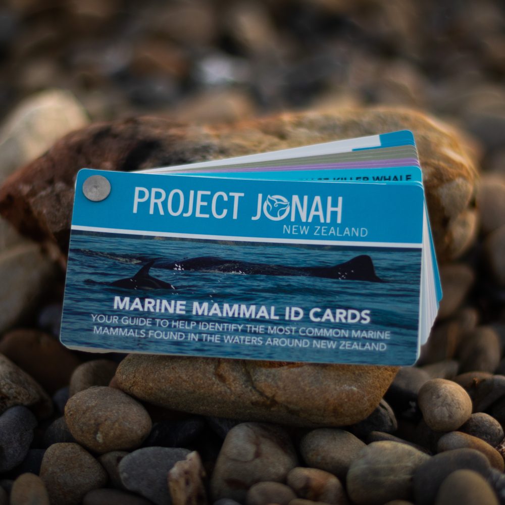 Whale ID Cards - Project Jonah