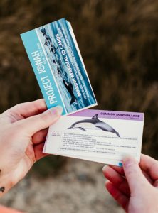 Whale ID Cards - Project Jonah