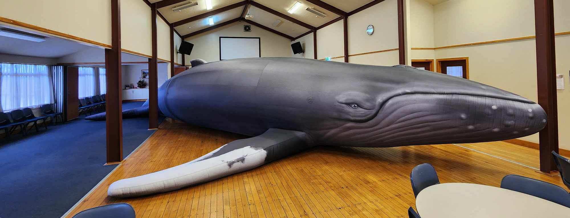 Walkthrough Whale Experience - Project Jonah